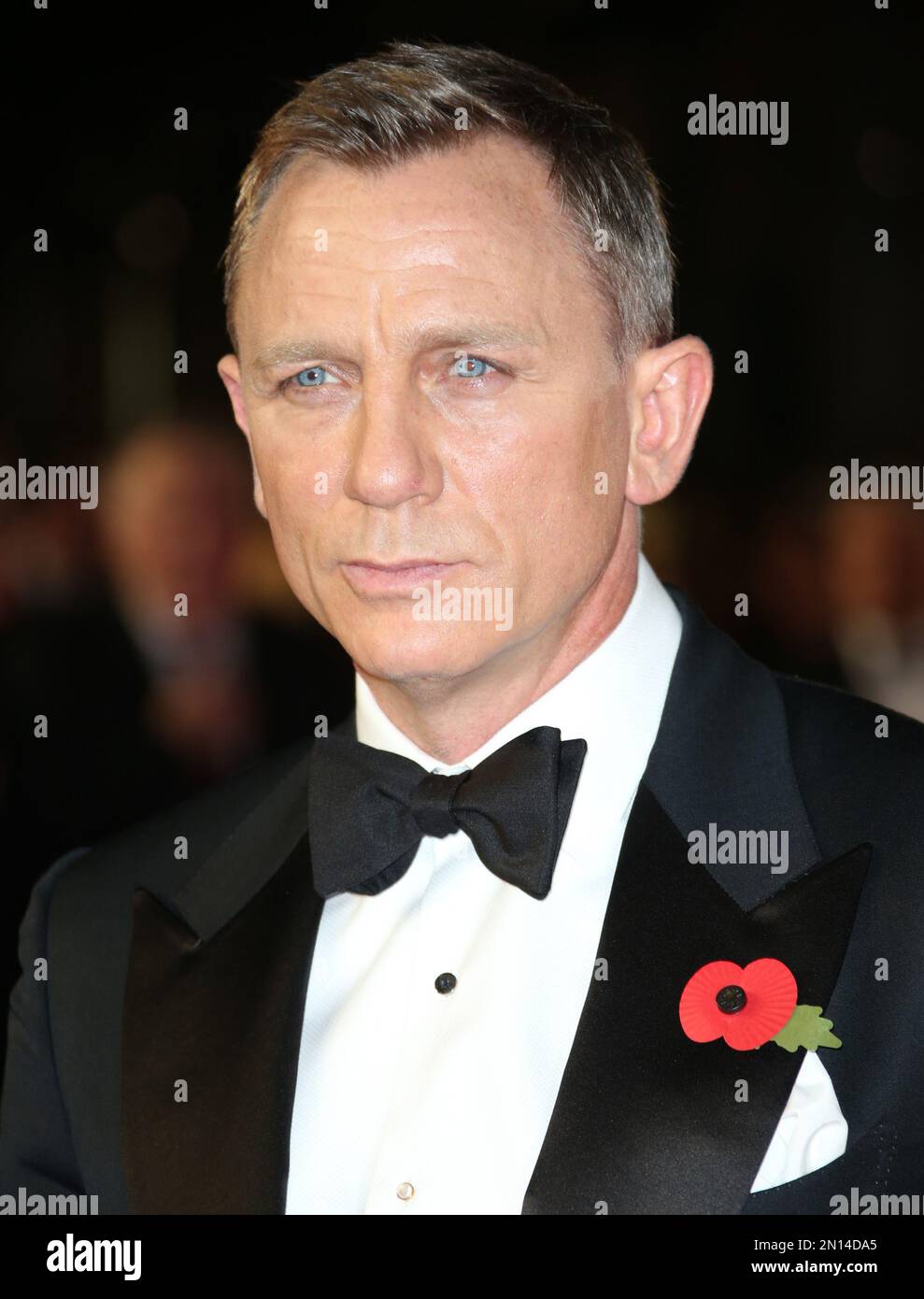 Daniel Craig poses for photographers upon arrival for the World ...