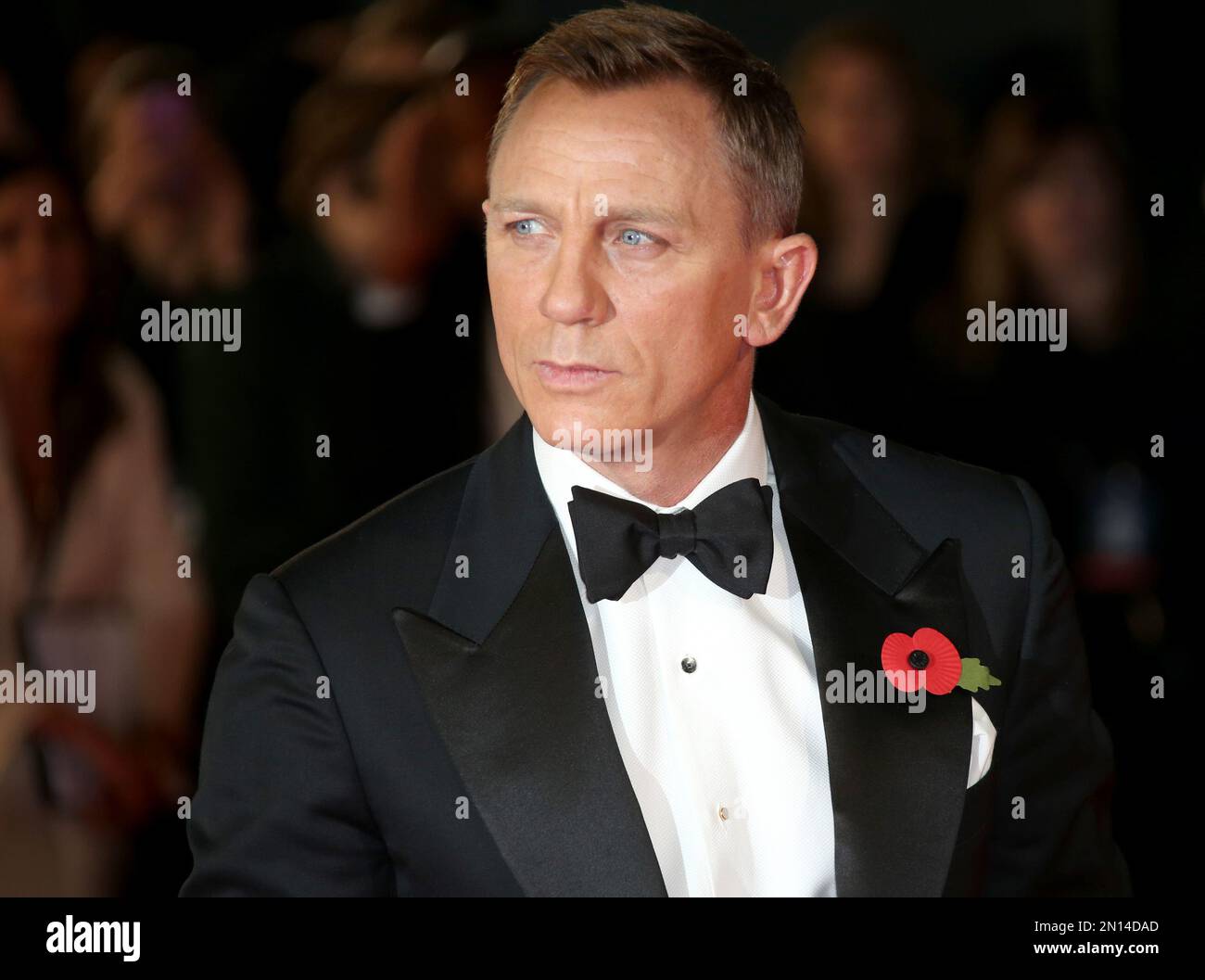 Daniel Craig poses for photographers upon arrival for the World ...