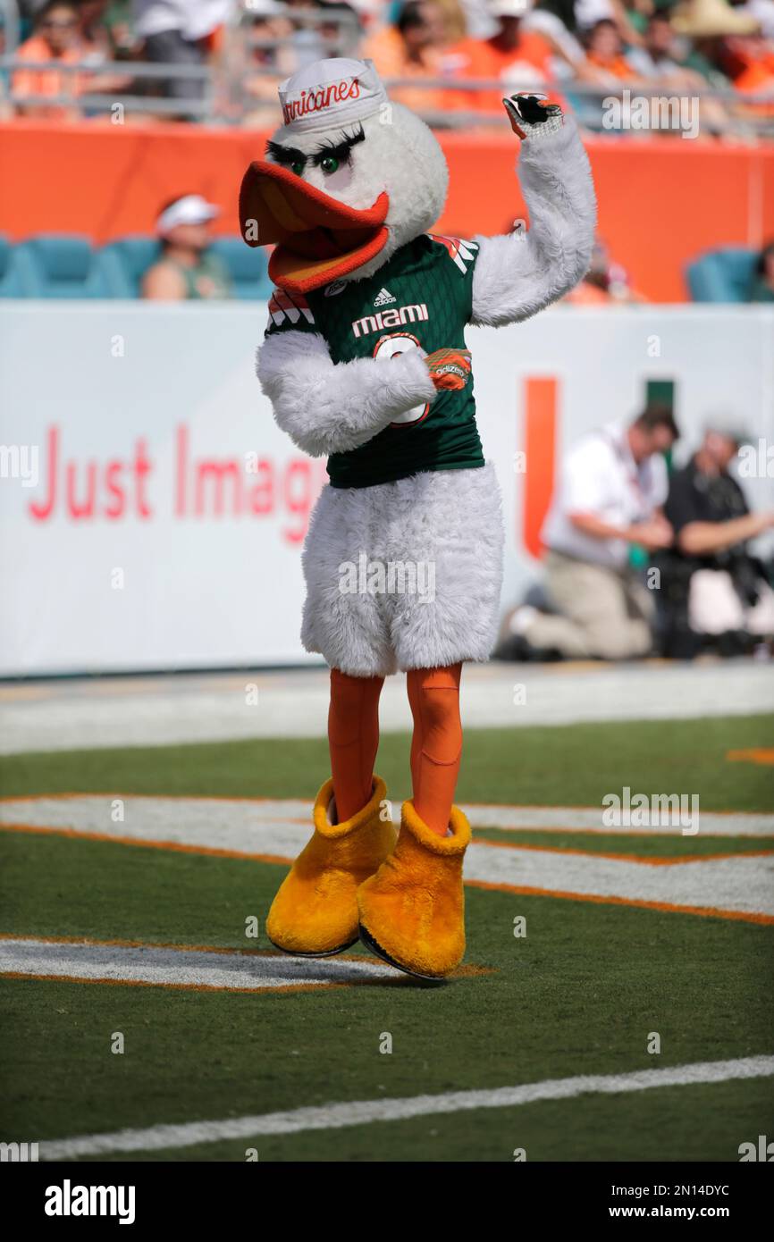 Miami mascot Sebastian the Ibis performs during the first half of an ...