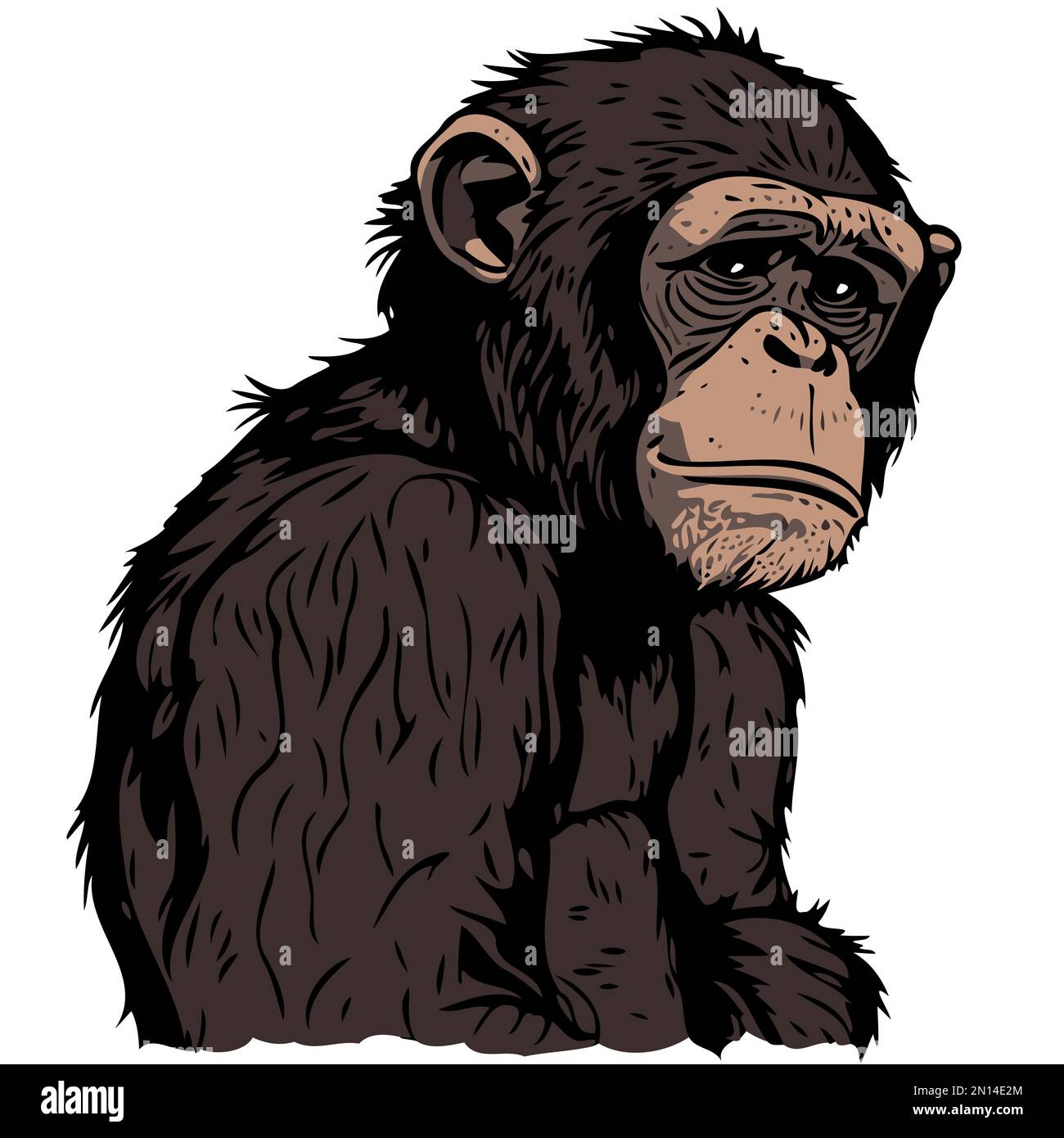 animal mammal cute primate chimpanzee vector illustration Stock Vector ...