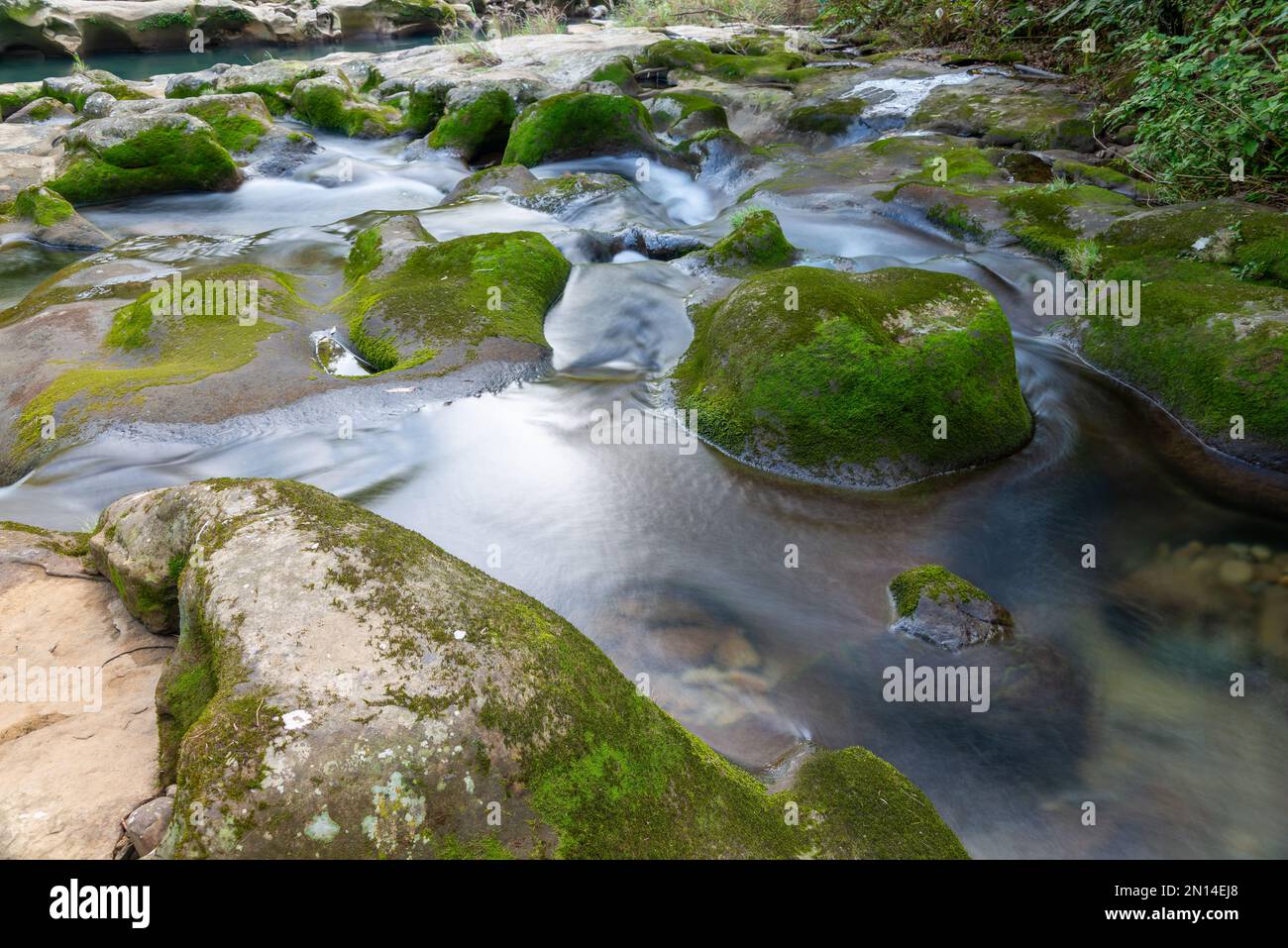 Streams in the valley. Oddly shaped rocks with some moss growing on ...