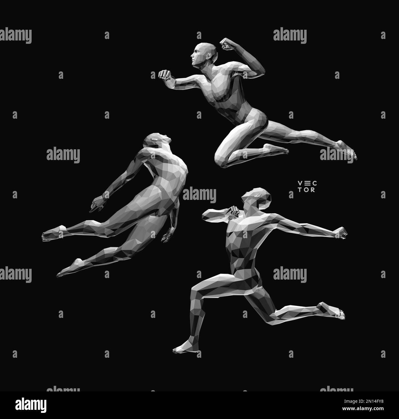 Big Human Body Model at Laura Ford blog