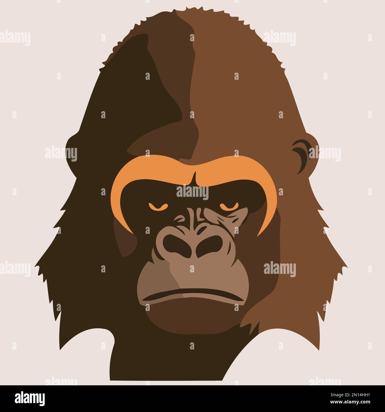 animal head mammal primate gorilla vector illustration Stock Vector ...