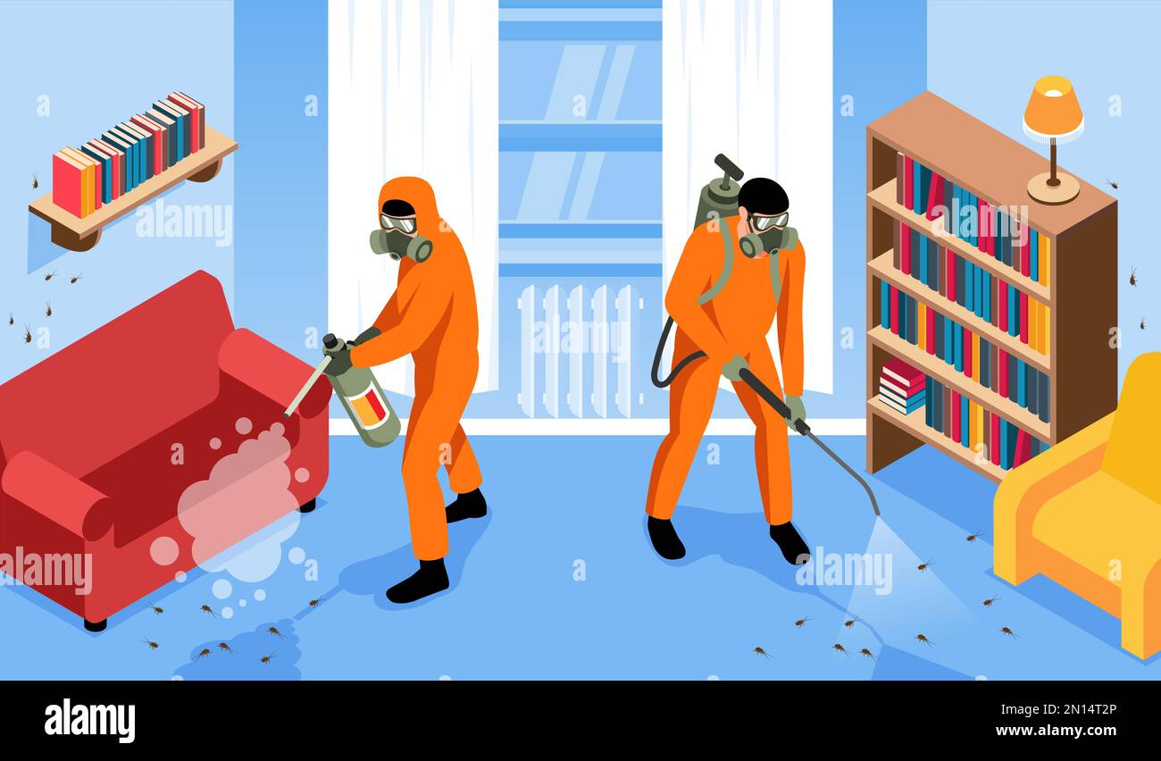 Pest control service workers using insecticide in living room ...