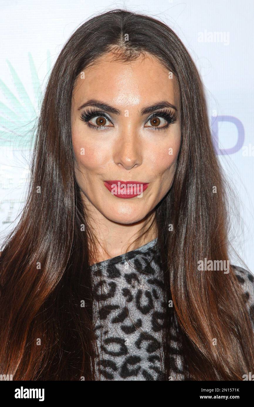 Mandy Amano attends the Brian Bowen Smith's "Metallic Life" Exhibition ...