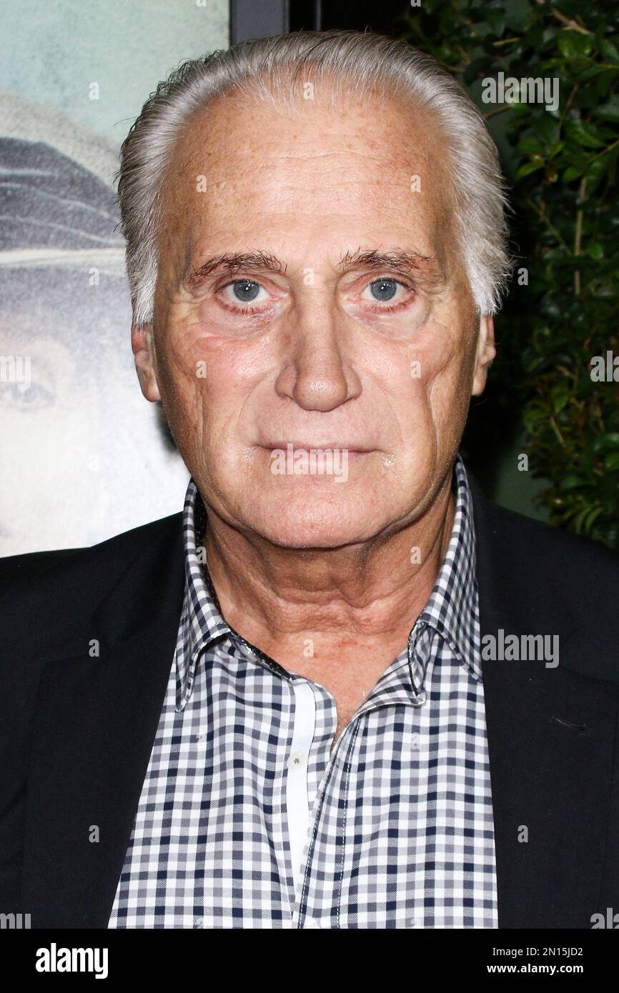 Joe Cortese attends the LA Premiere of "Suffragette" held at Samuel ...