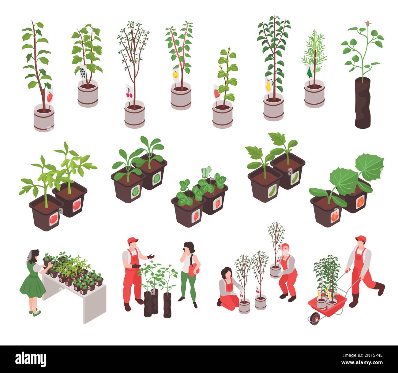 Isometric nursery garden icons set with plants and trees in pots ...