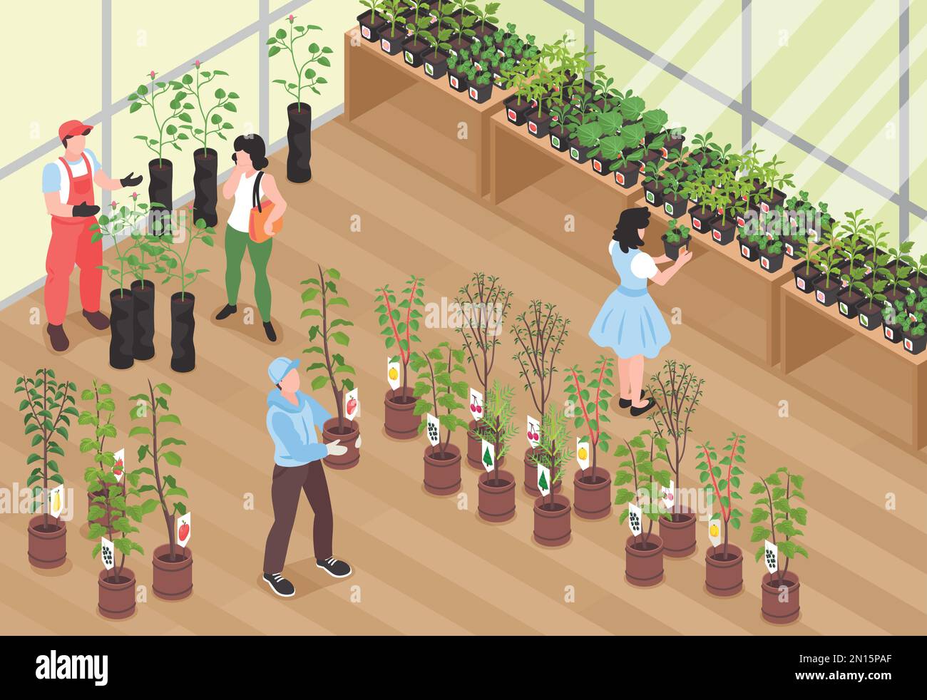 Isometric nursery garden concept with people buing plants vector ...