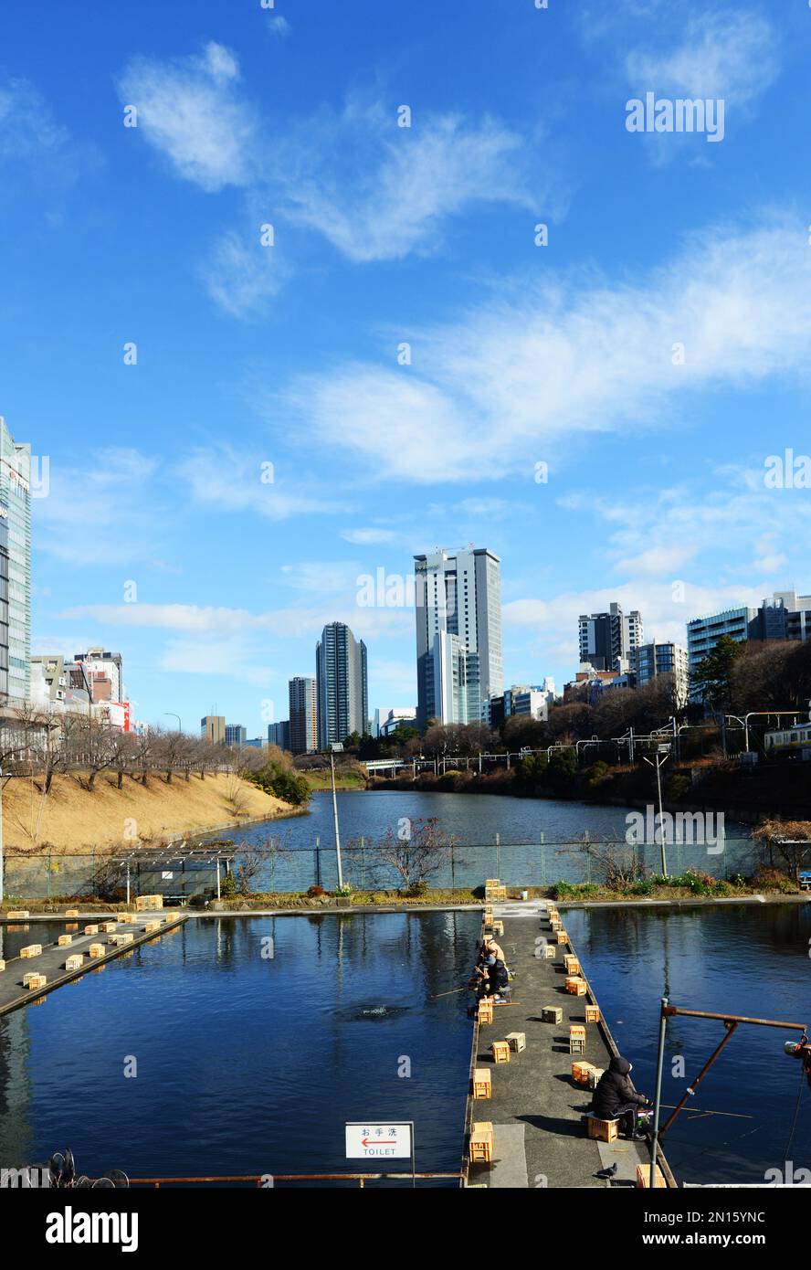 Fishing at the pools of the Ichigaya fishing center along the Edo ...