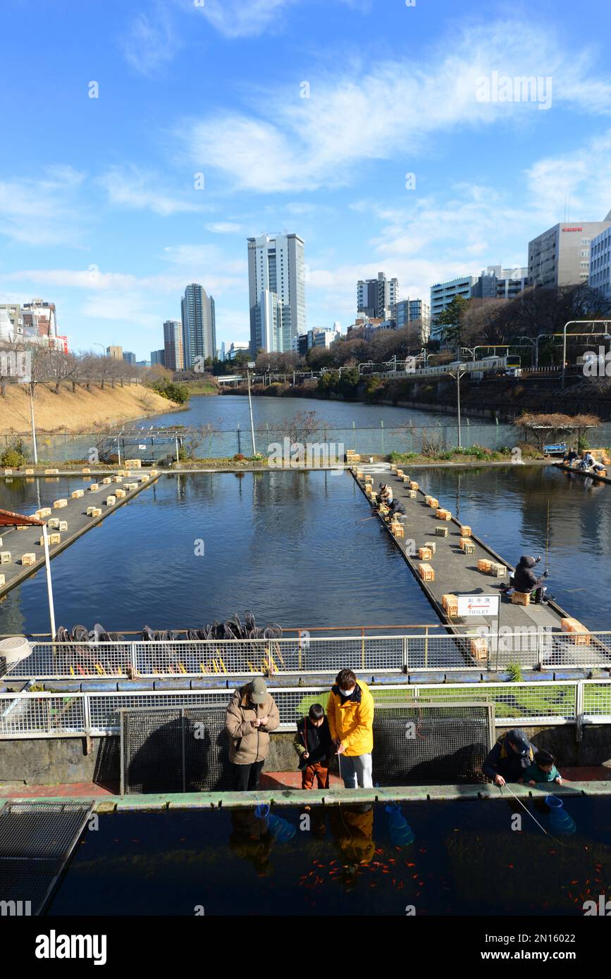 Fishing at the pools of the Ichigaya fishing center along the Edo ...