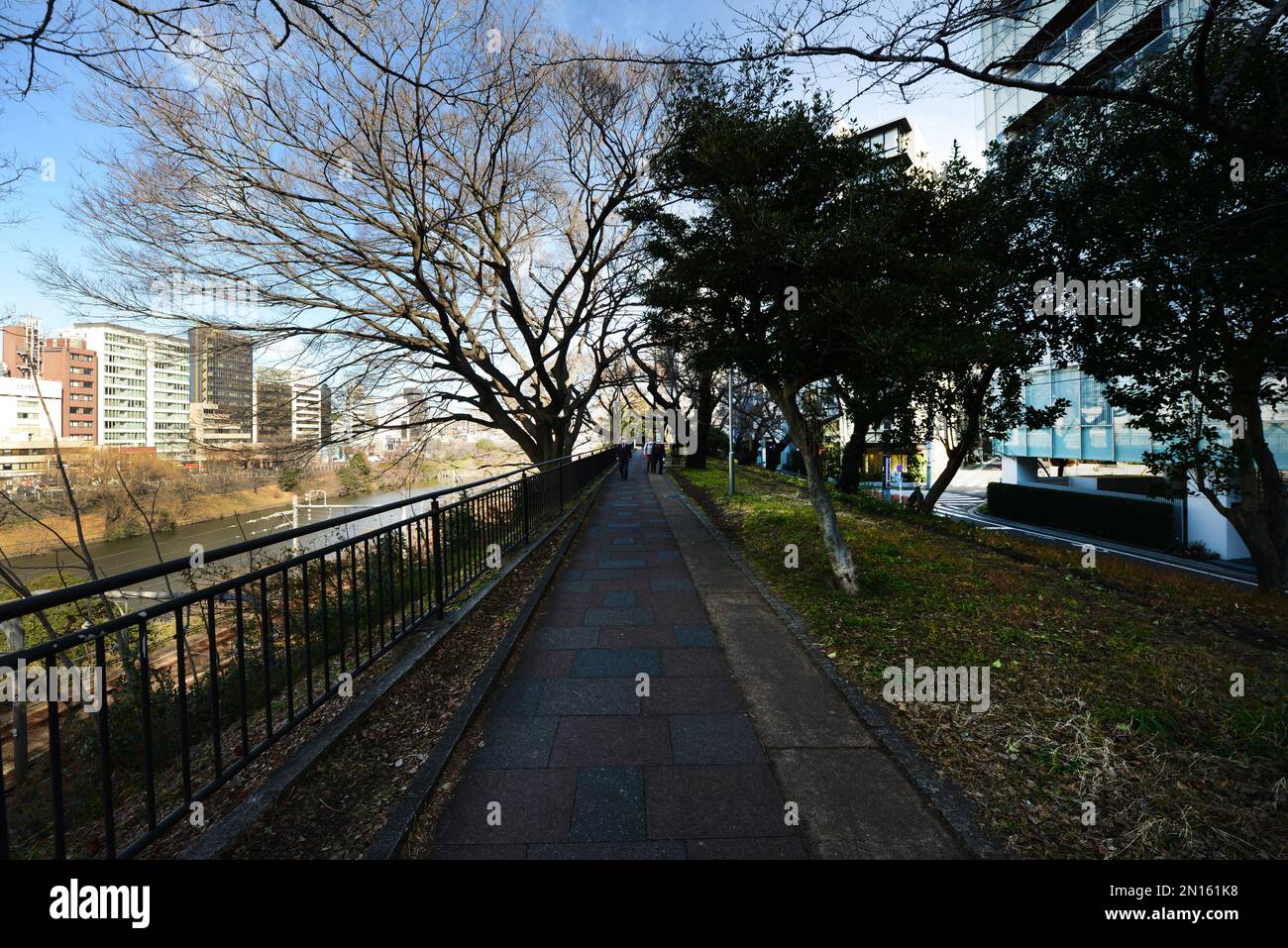 Walking along the park by the Edo Castle Outer Moat trace in Kudankita ...