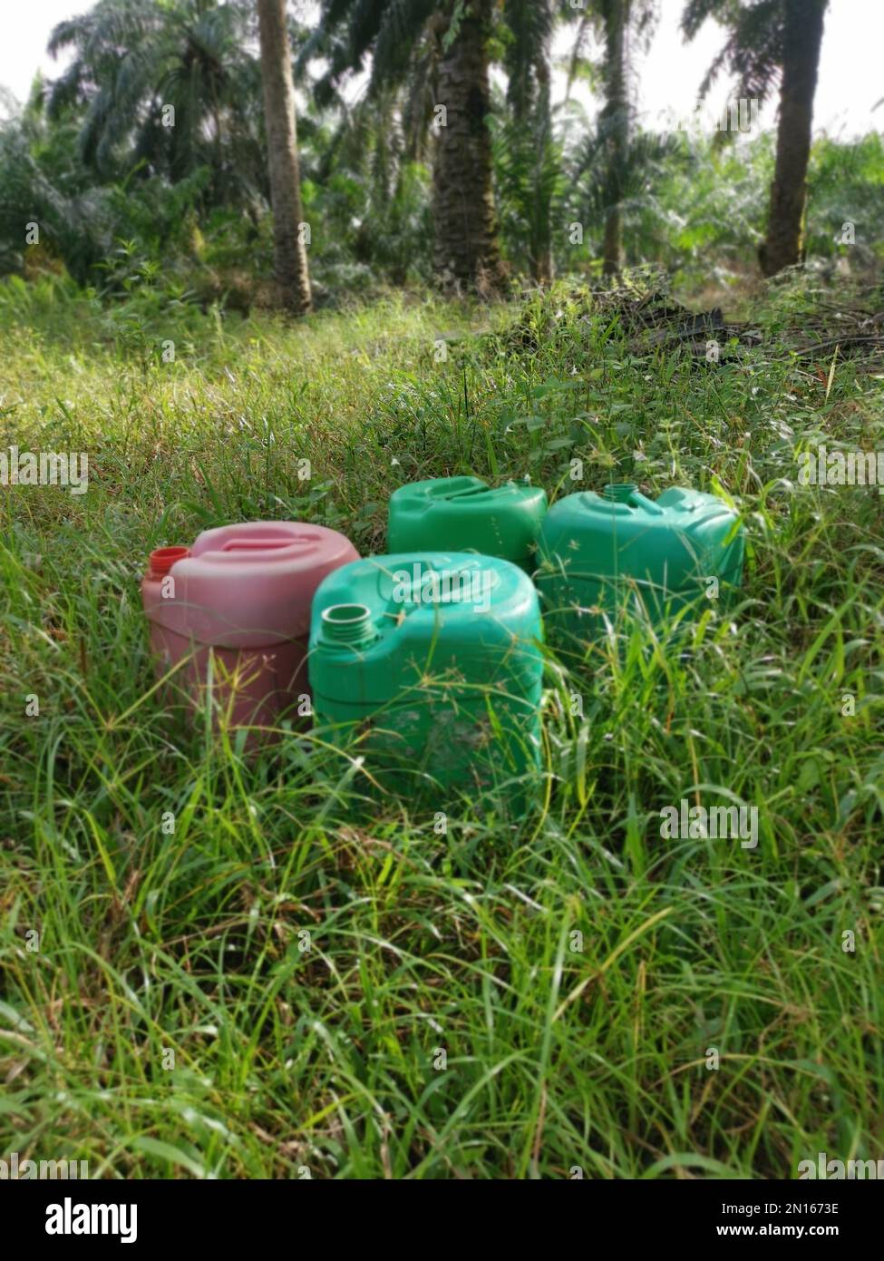 colorful pesticide containers left at the oil palm plantation Stock ...