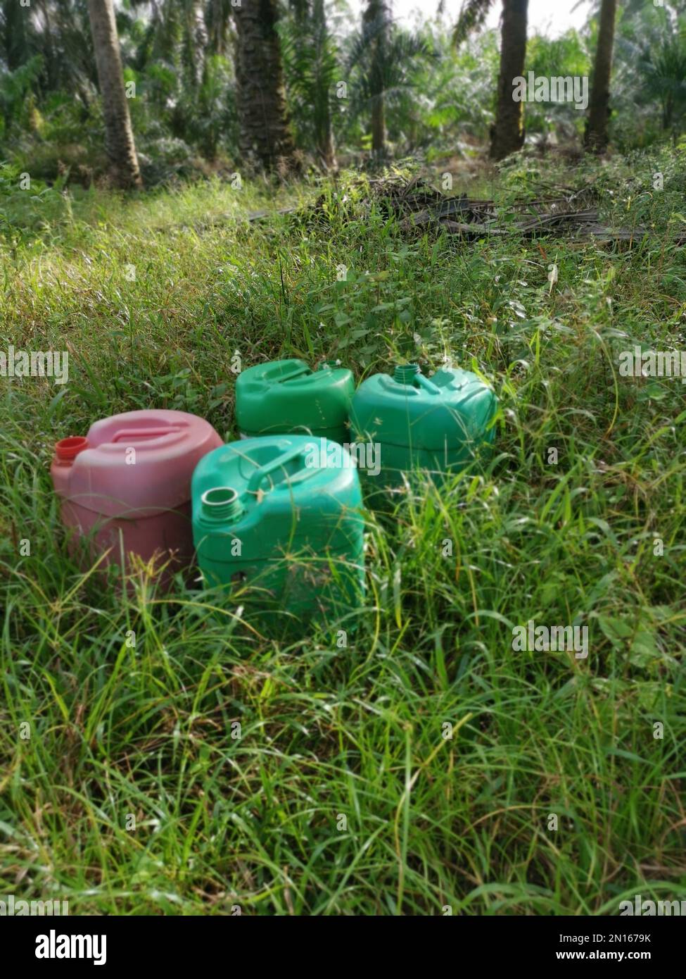 colorful pesticide containers left at the oil palm plantation Stock ...