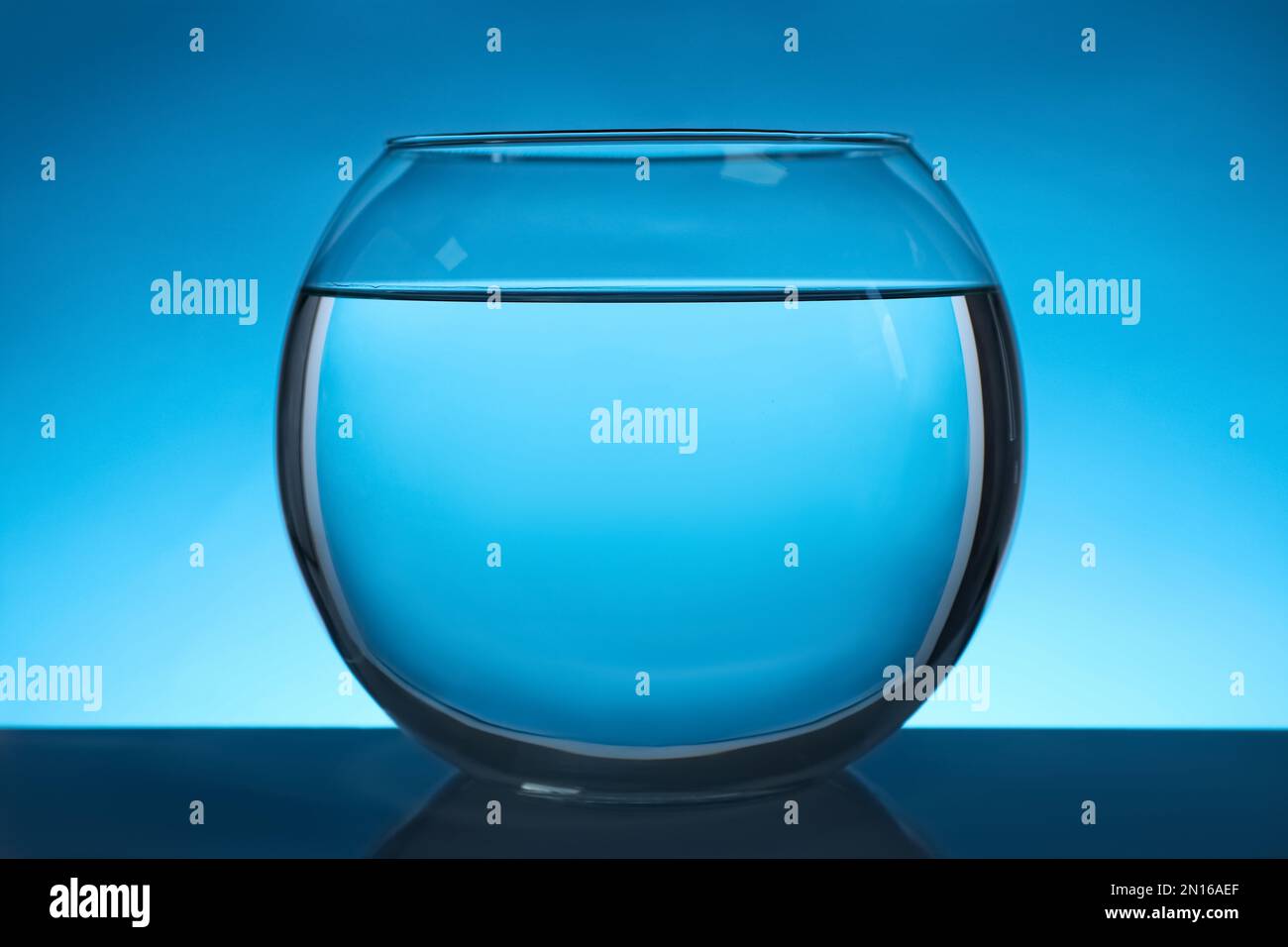 Round fish bowl filled with water on blue background Stock Photo - Alamy