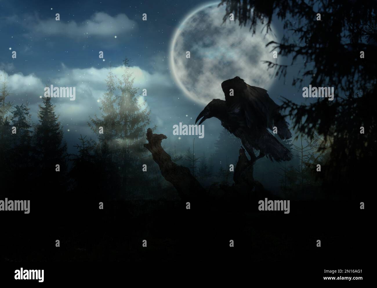 Creepy black crow in scary dark forest on full moon night Stock Photo ...