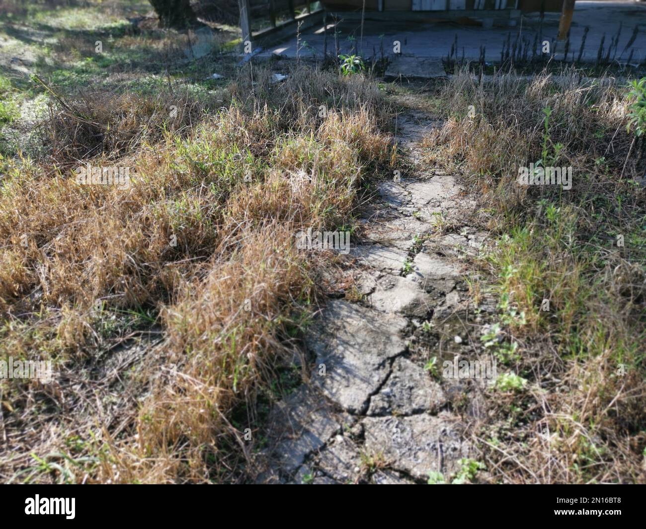 cracked concrete pathway to the rural farm Stock Photo - Alamy