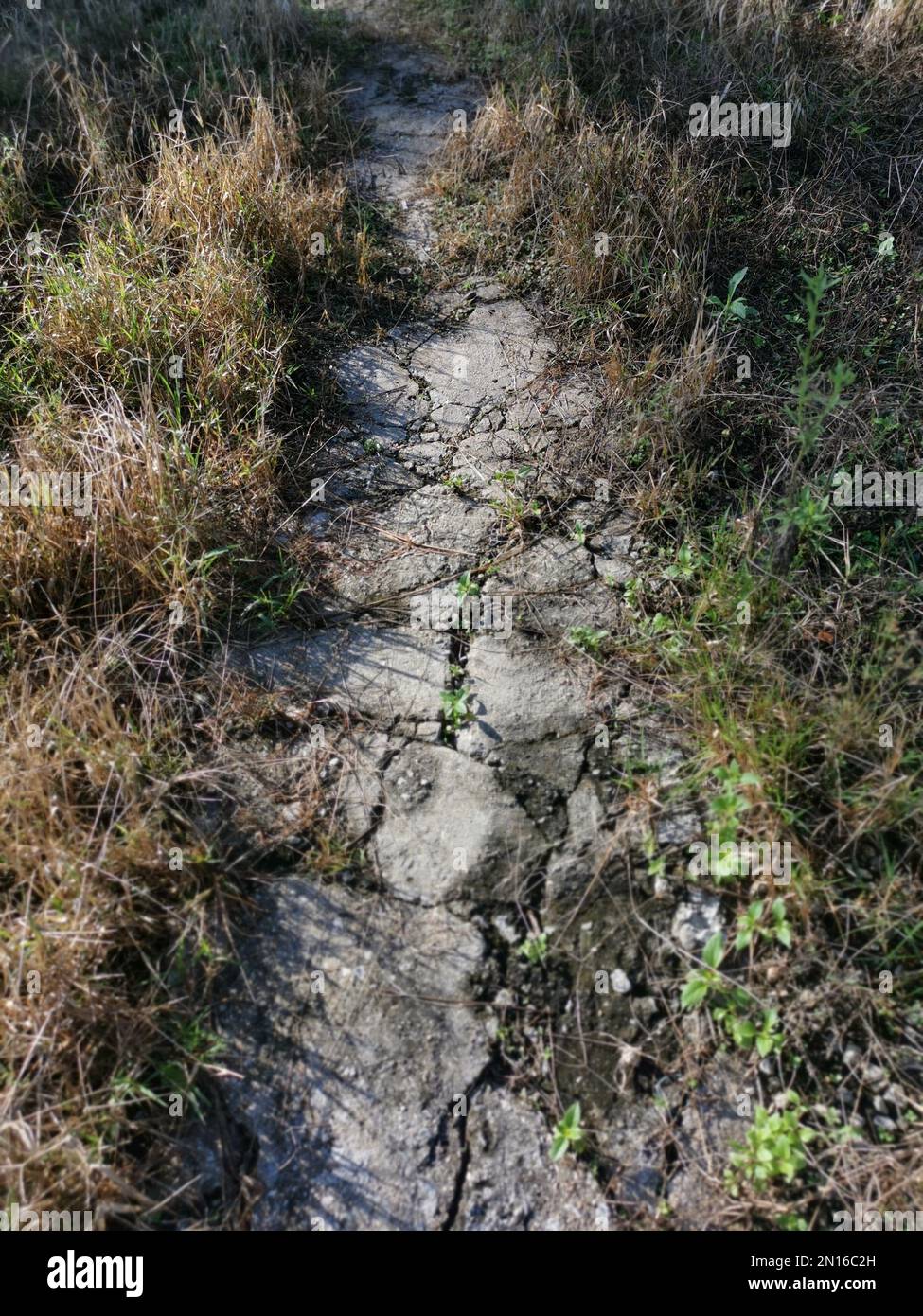 cracked concrete pathway to the rural farm Stock Photo - Alamy