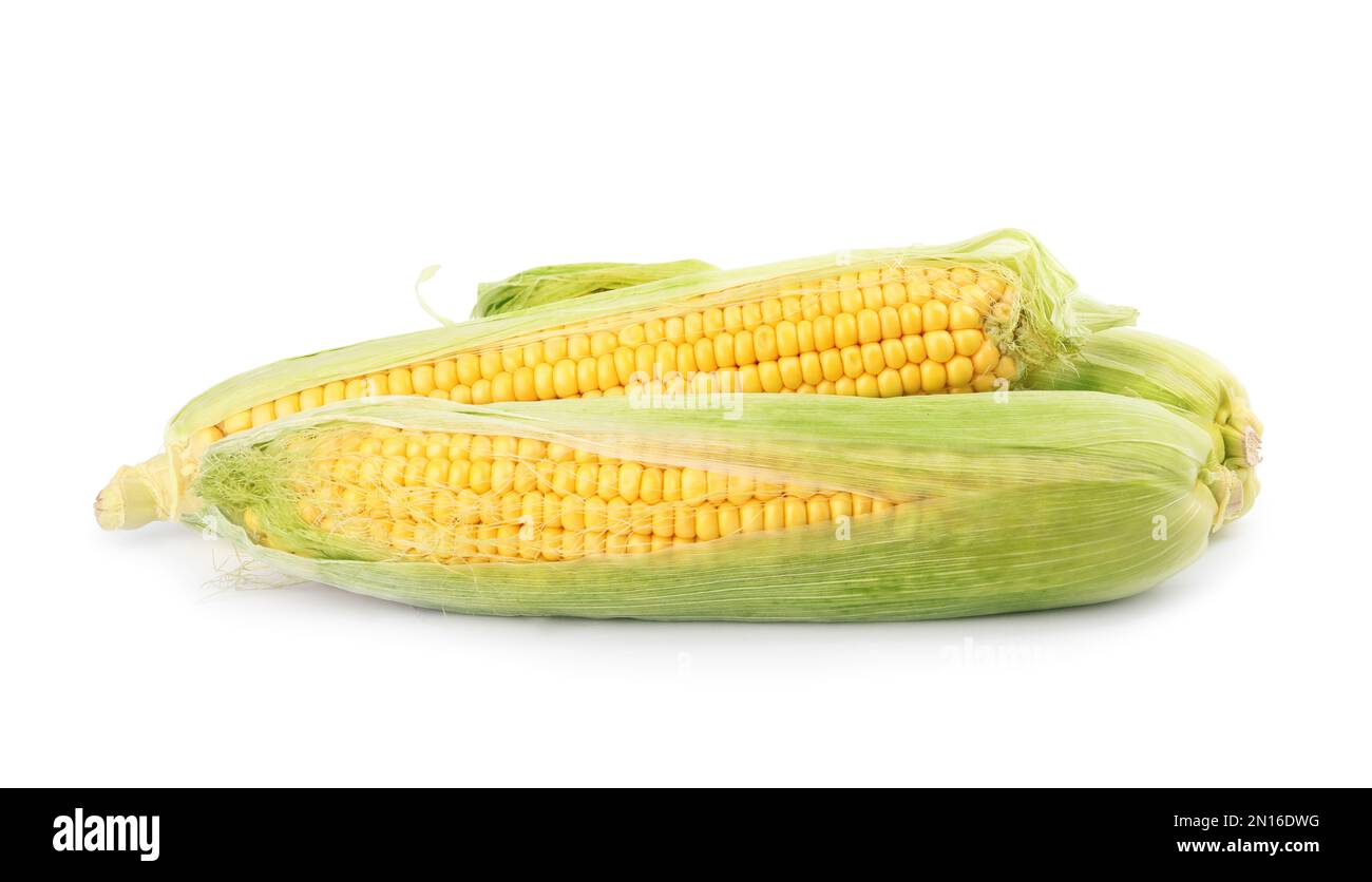 Ripe raw corn cobs with husk on white background Stock Photo - Alamy