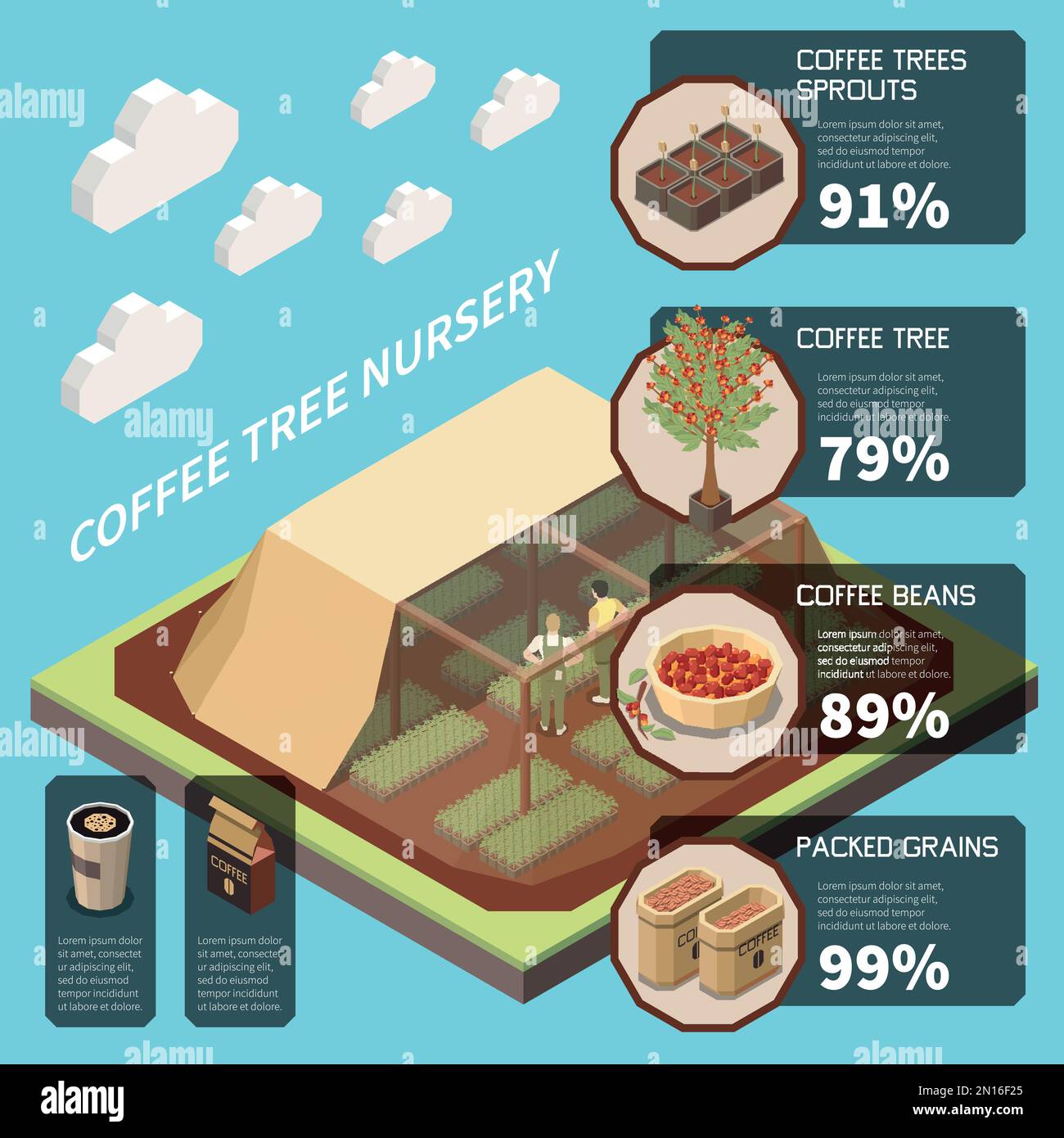 Coffee tree nursery infographics background with information about ...
