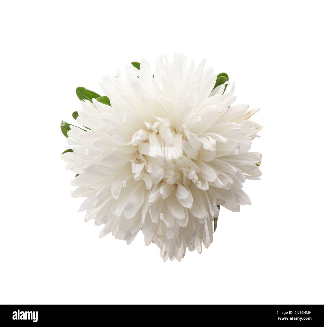 Top view gentle white Cut Out Stock Images & Pictures - Alamy