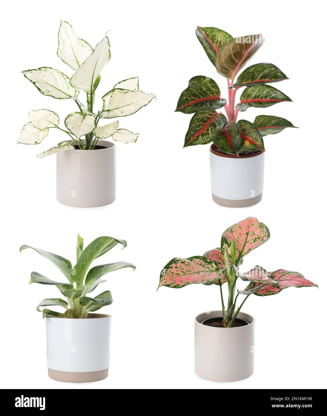 Pink house blue sky Cut Out Stock Images & Pictures - Alamy