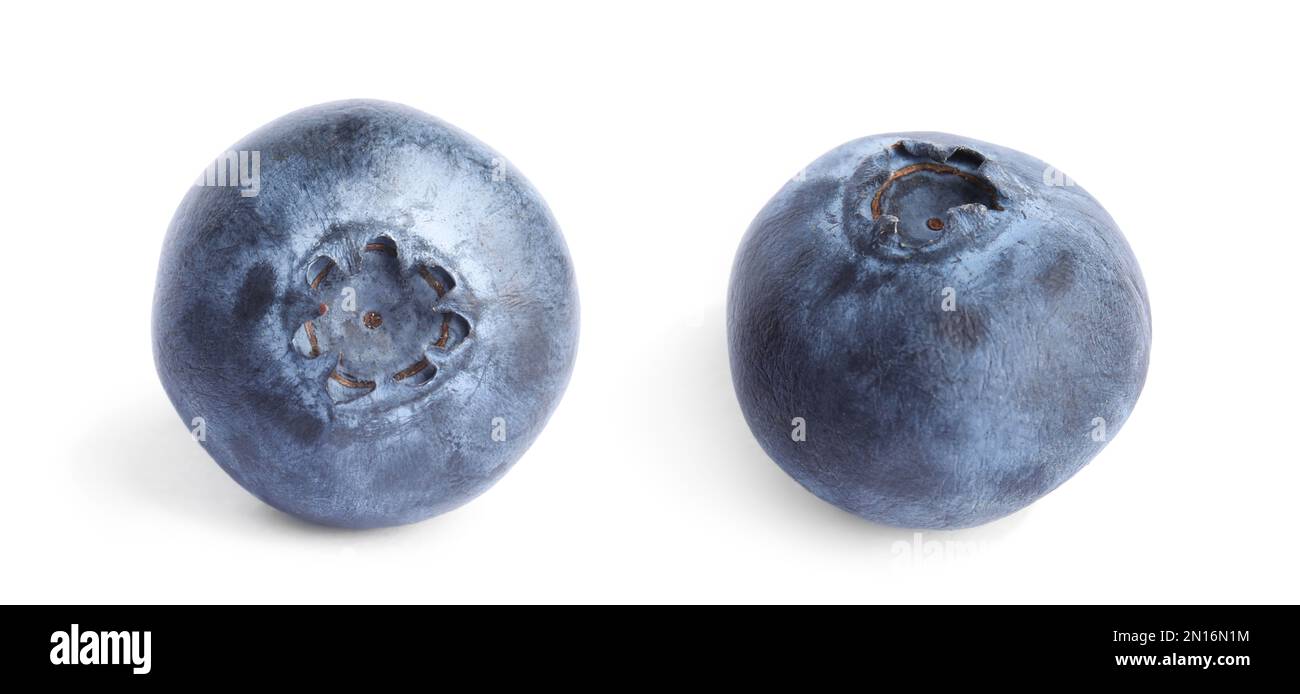 Two fresh whole blueberries on white background Stock Photo - Alamy