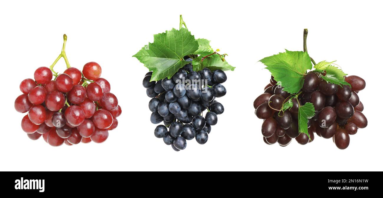 Set of fresh grapes on white background. Banner design Stock Photo - Alamy