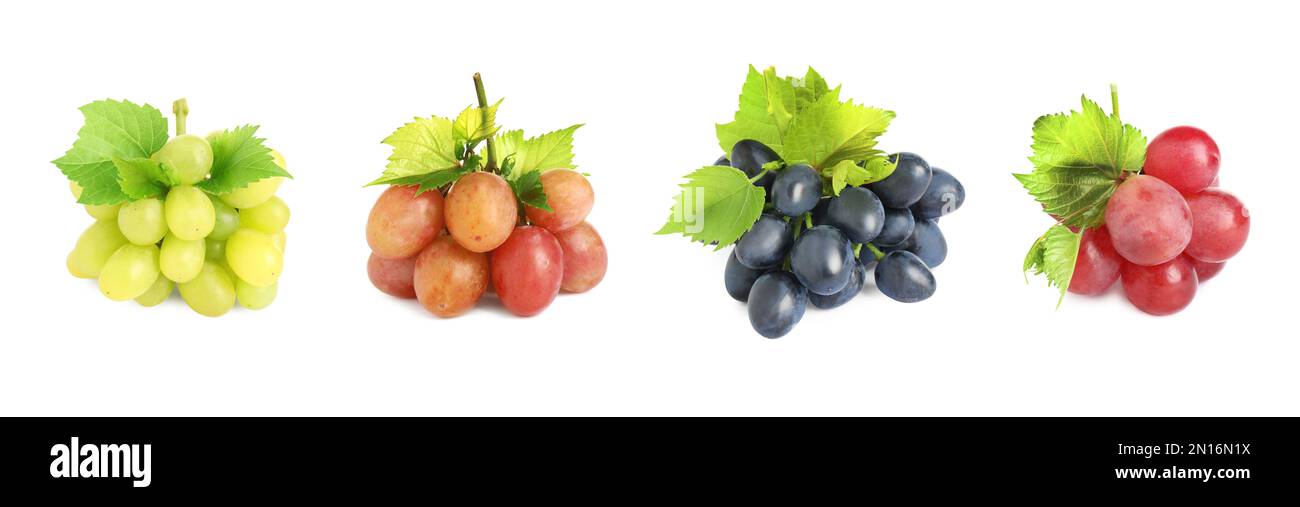 Set of fresh grapes on white background. Banner design Stock Photo - Alamy
