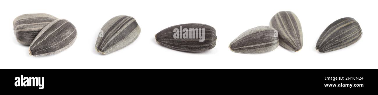 Set of sunflower seeds on white background. Banner design Stock Photo ...