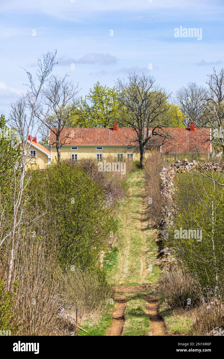 Farm road to a house in the countryside at spring Stock Photo - Alamy