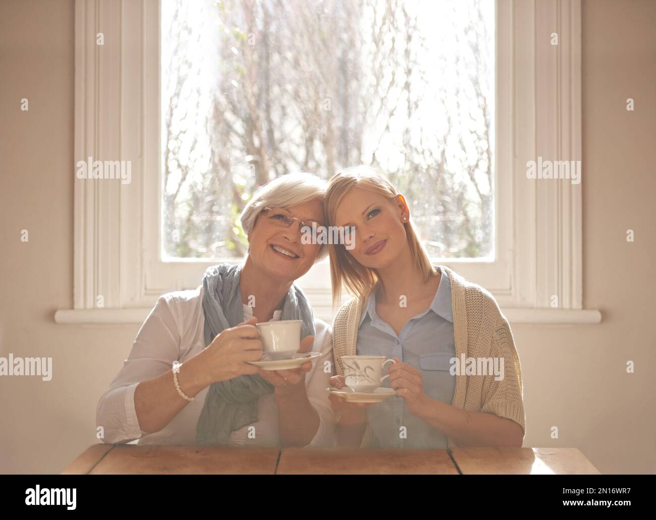 A lovely morning tea party. an attractive young woman visiting her gran ...