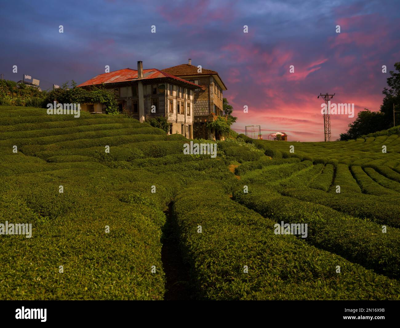 Ceceva village at morning. Famous tea plantations of Rize. The most ...