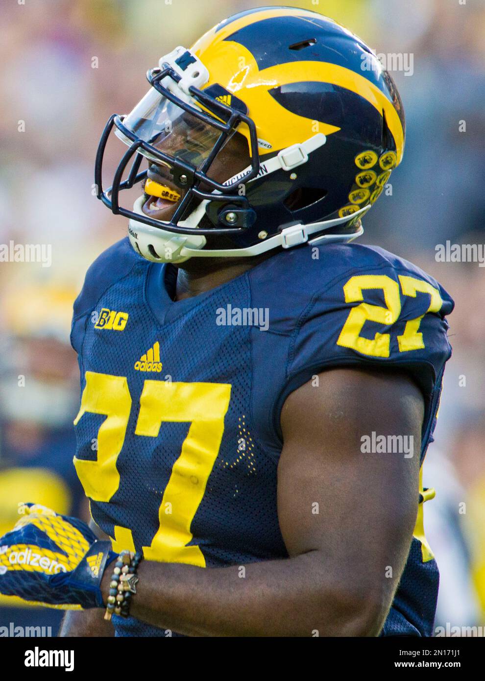 Michigan running back Derrick Green (27) celebrates a rushing touchdown ...