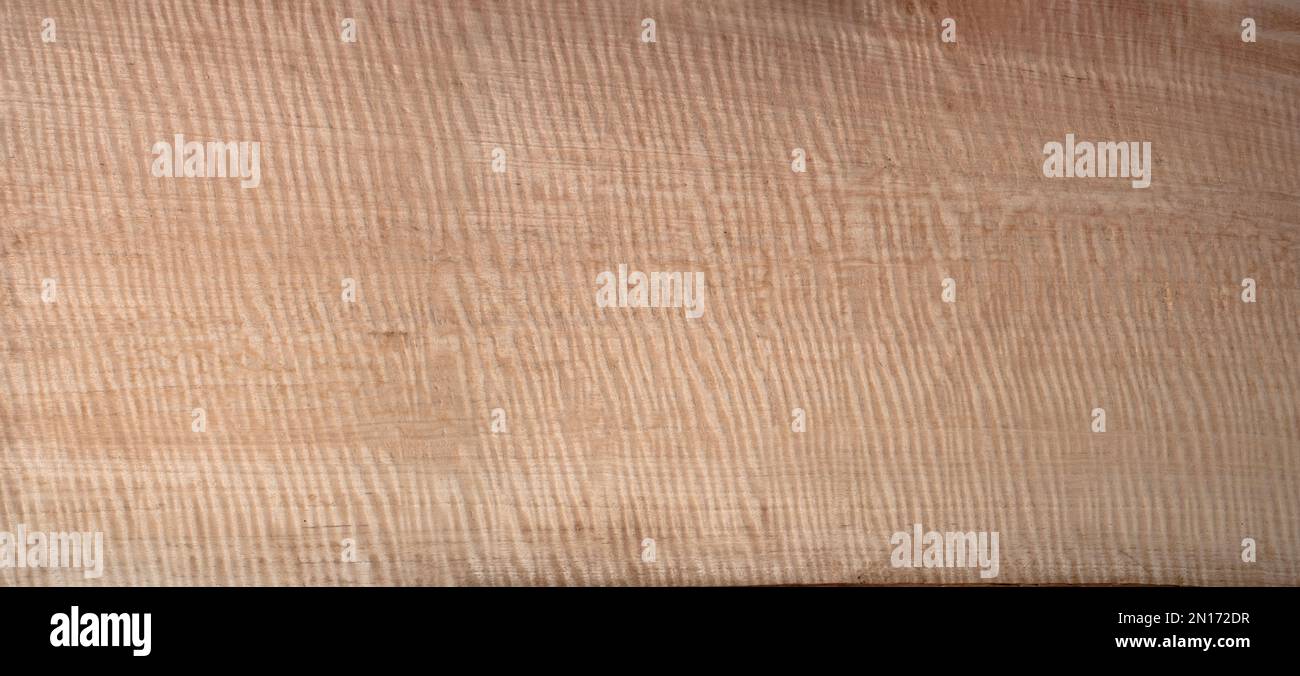 Tiger maple hi-res stock photography and images - Alamy