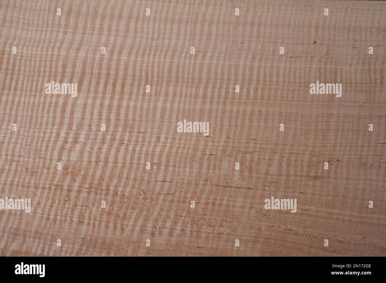 Maple wood has tiger stripe or curly stripe grain Stock Photo - Alamy