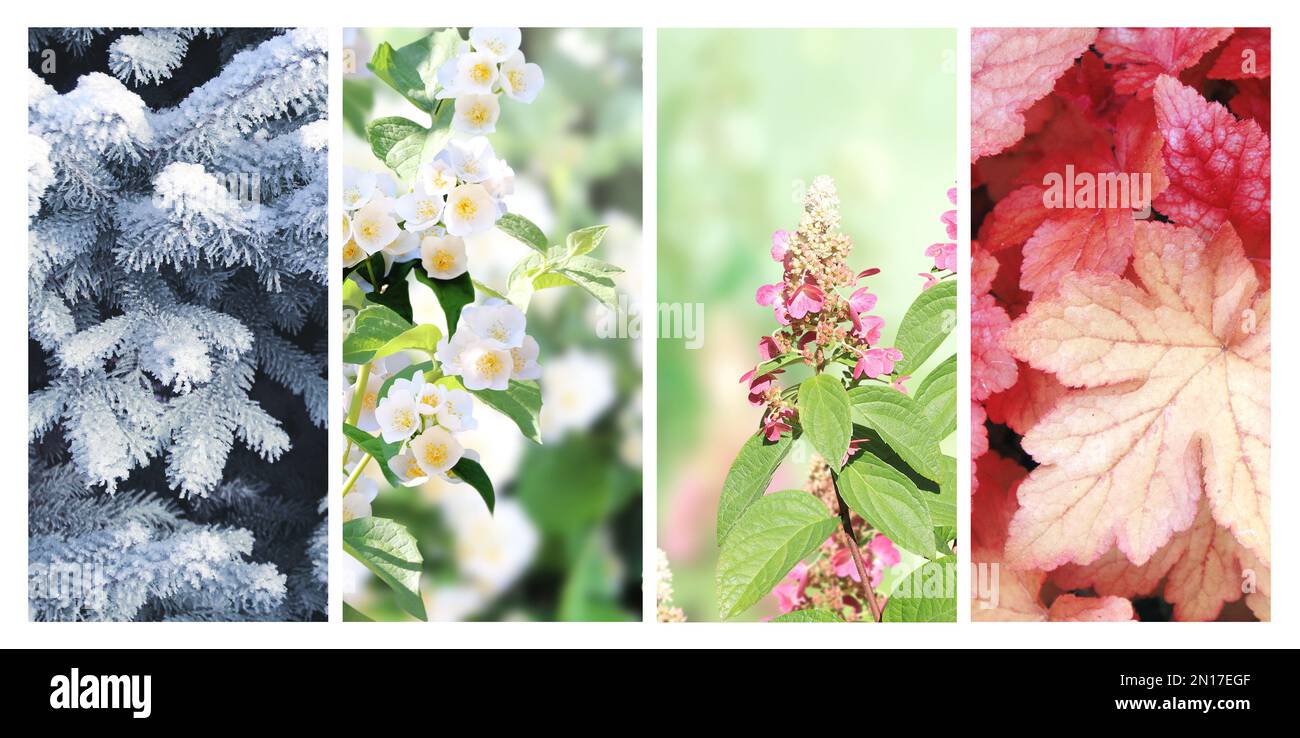 Four seasons of year. Set of vertical nature banners with winter ...