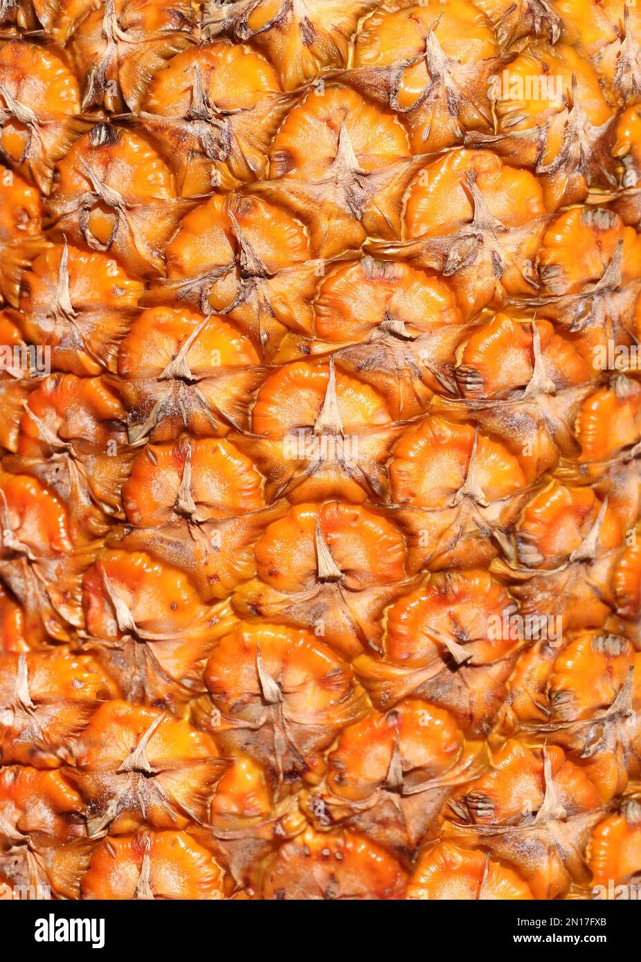 Close up of pineapple skin texture. Peel of ripe Pineapple (Ananas ...