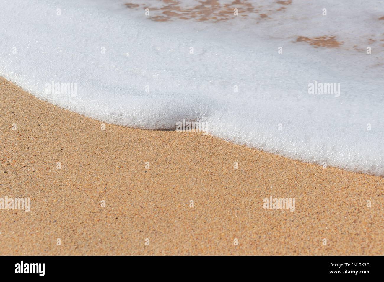 abstract beach sand and soft background of waves and seashell Stock ...