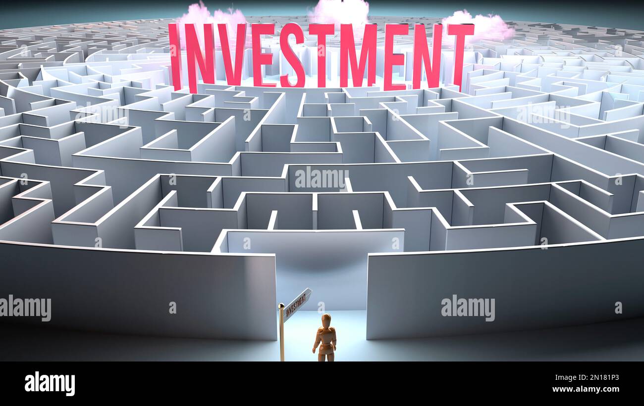Investment and a challenging path that leads to it - confusion and ...