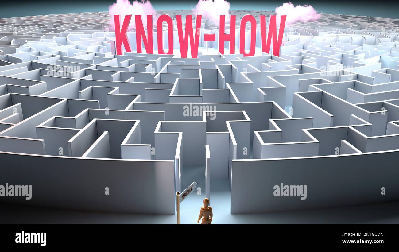 Know how and a challenging path that leads to it - confusion and ...