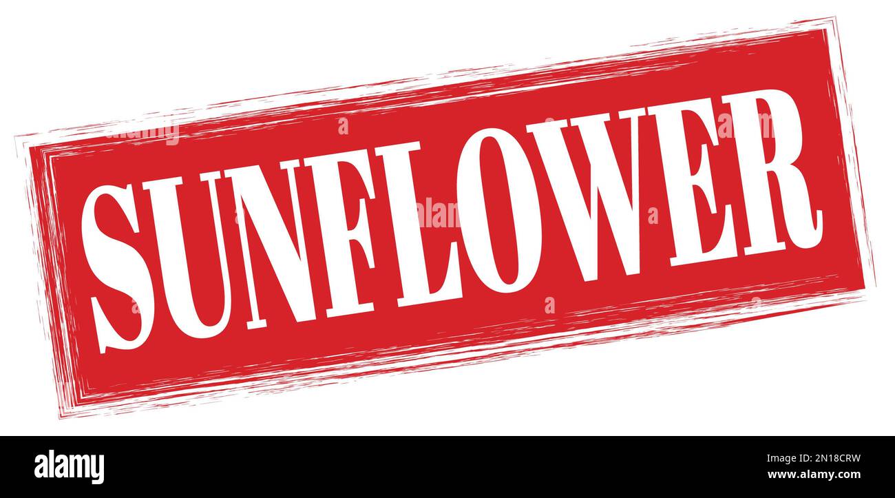 SUNFLOWER text written on red rectangle stamp sign Stock Photo - Alamy