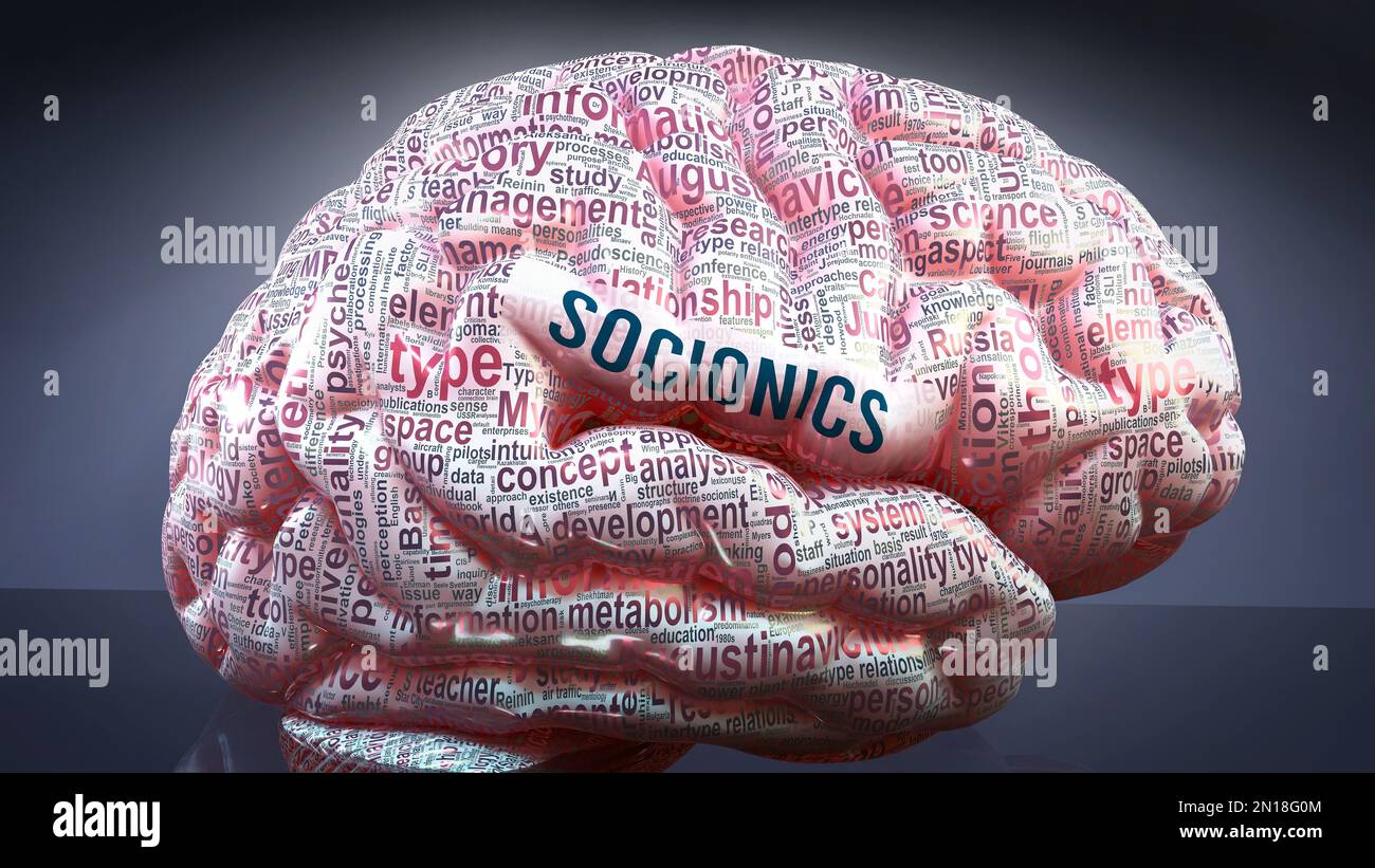 Socionics in human brain, hundreds of crucial terms related to ...