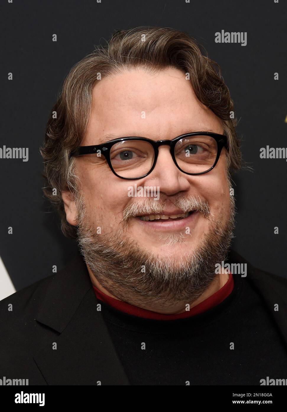 Filmmaker Guillermo Del Toro poses before "In the Labyrinth: A ...
