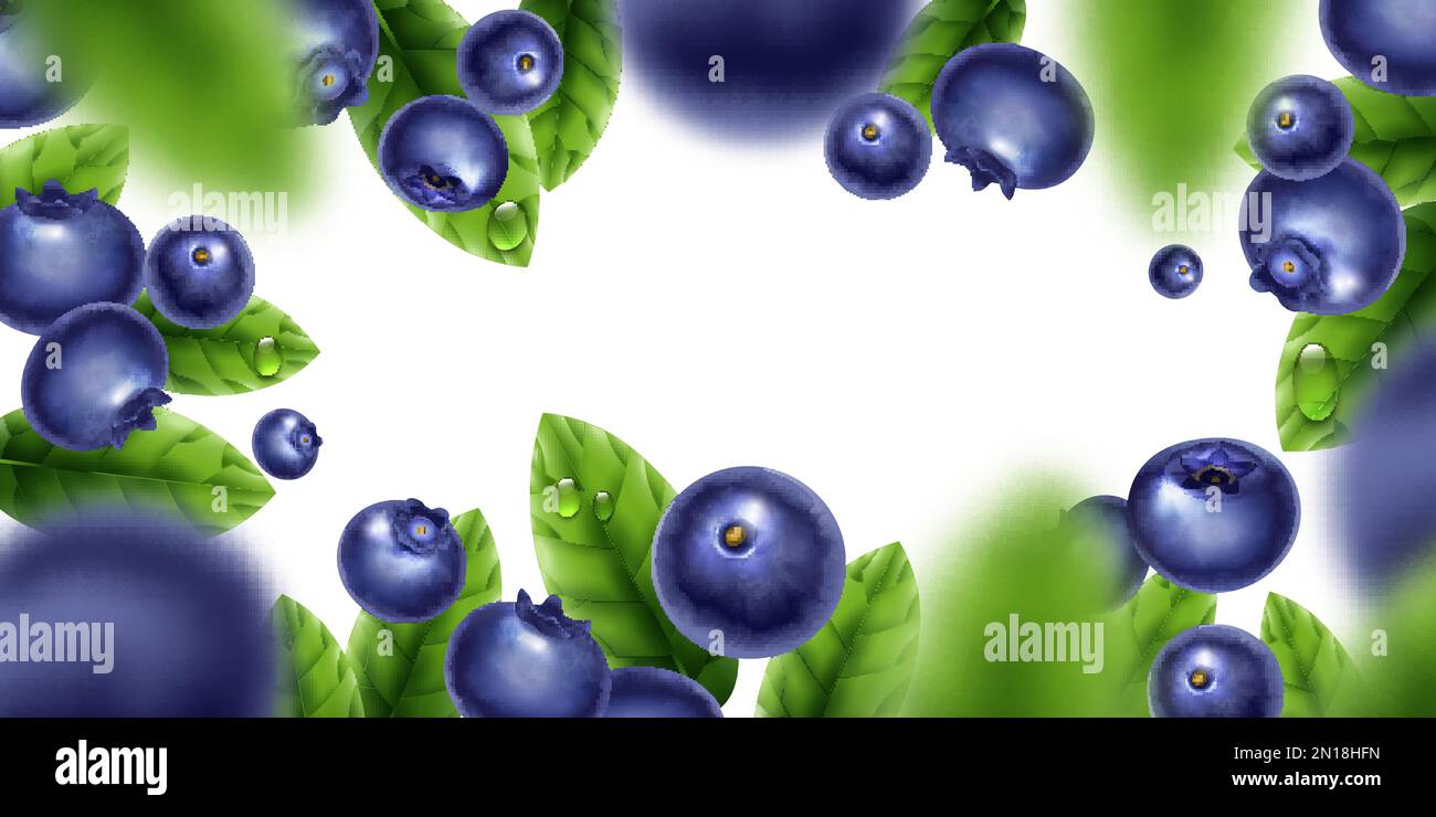 Realistic blueberry frame background with fresh ripe berries green ...