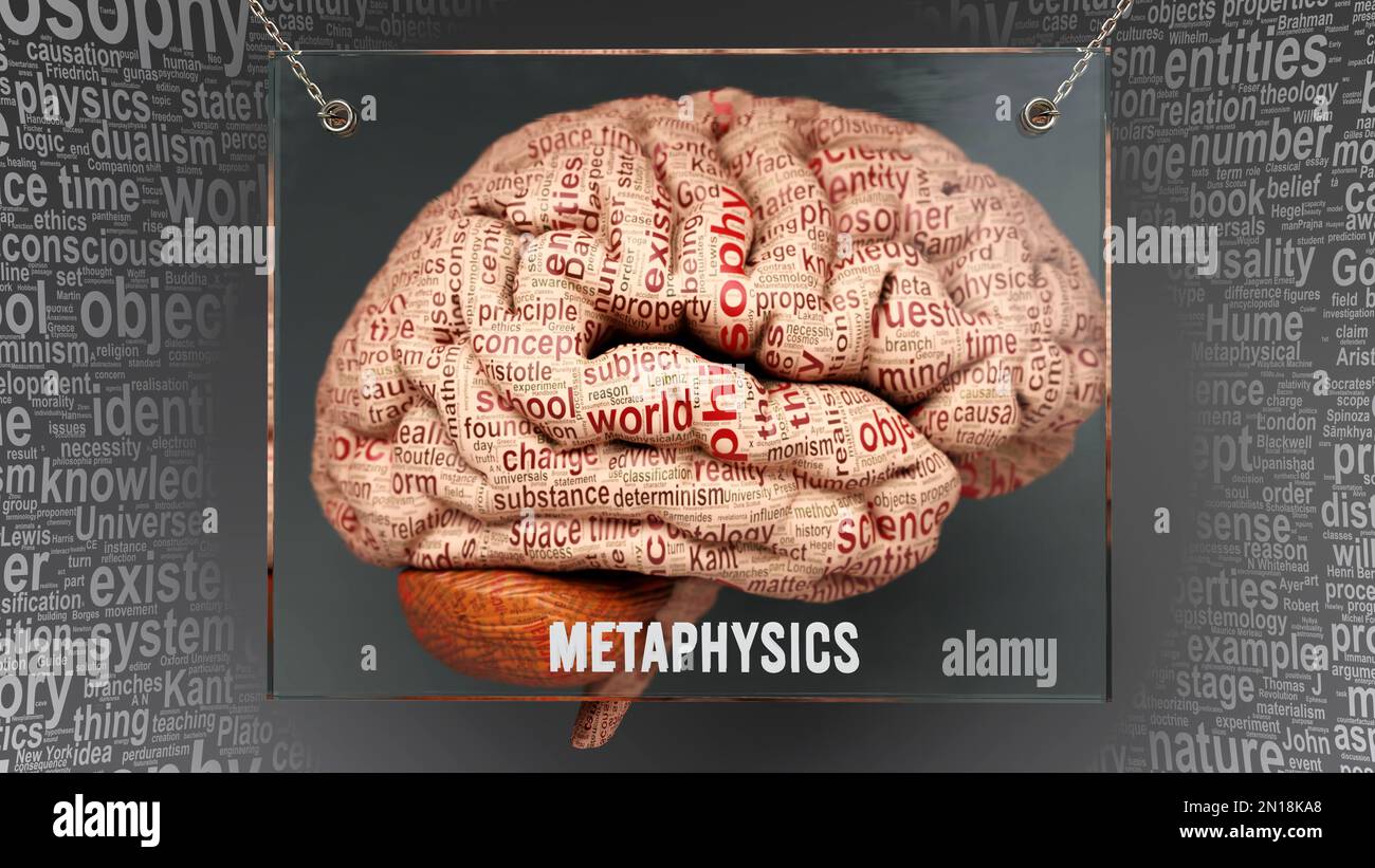 Metaphysics in human brain - dozens of important terms describing ...