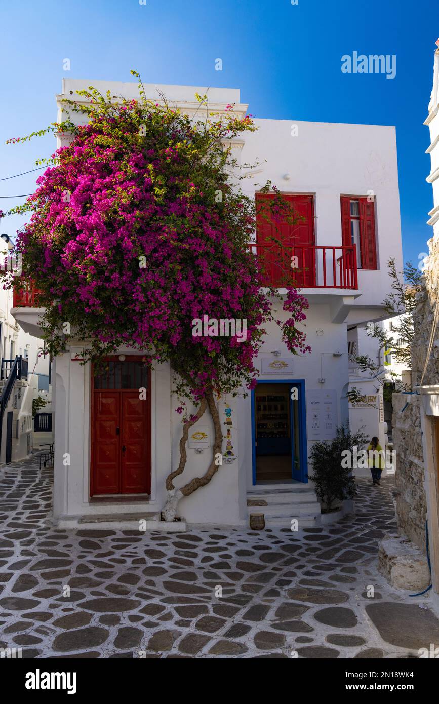 Whitewashed whitewash white wash hi-res stock photography and images ...