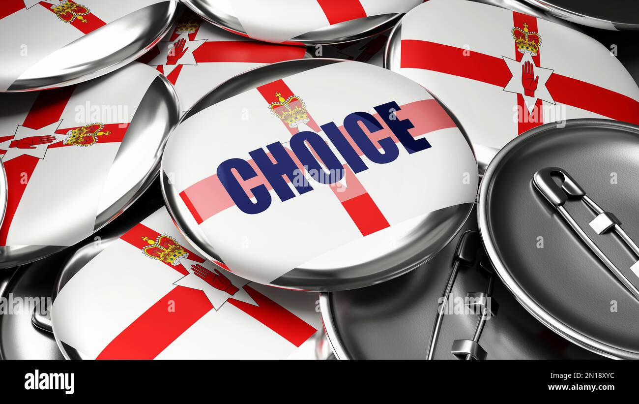 Choice in Northern Ireland - colorful handmade electoral campaign ...