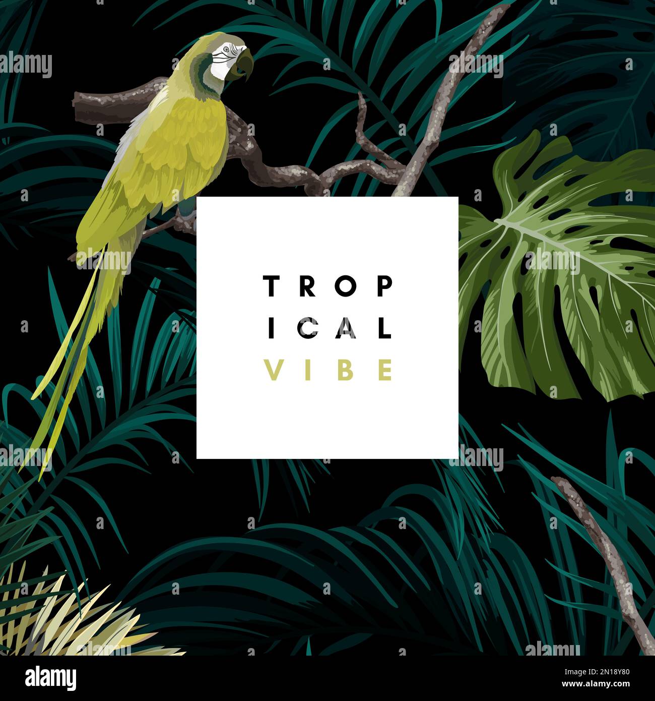 Dark tropical design with exotic monstera and royal palm leaves, blue ...