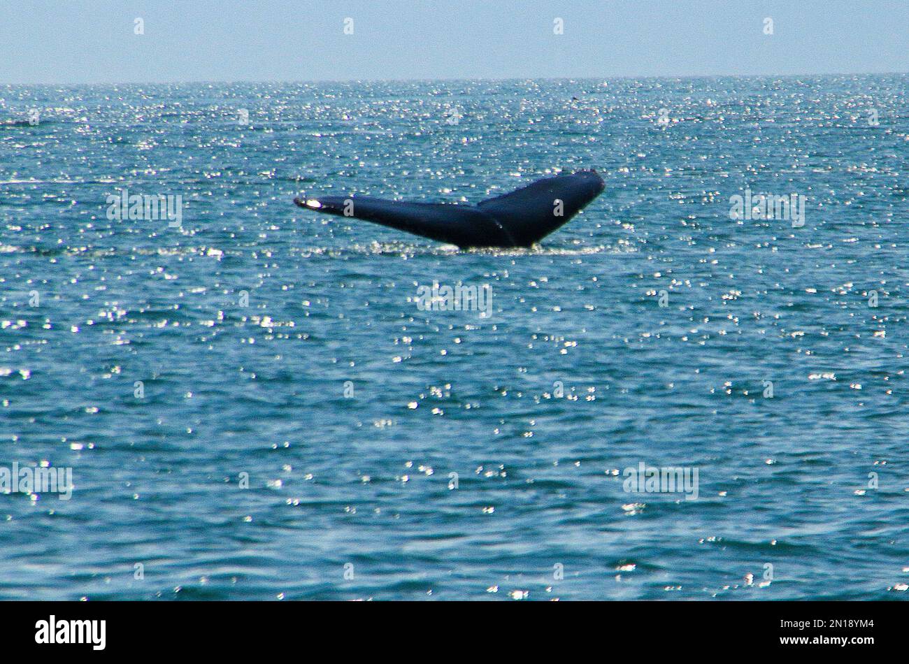 Tongass narrows, Ketchikan, Alaska, USA Stock Photo - Alamy