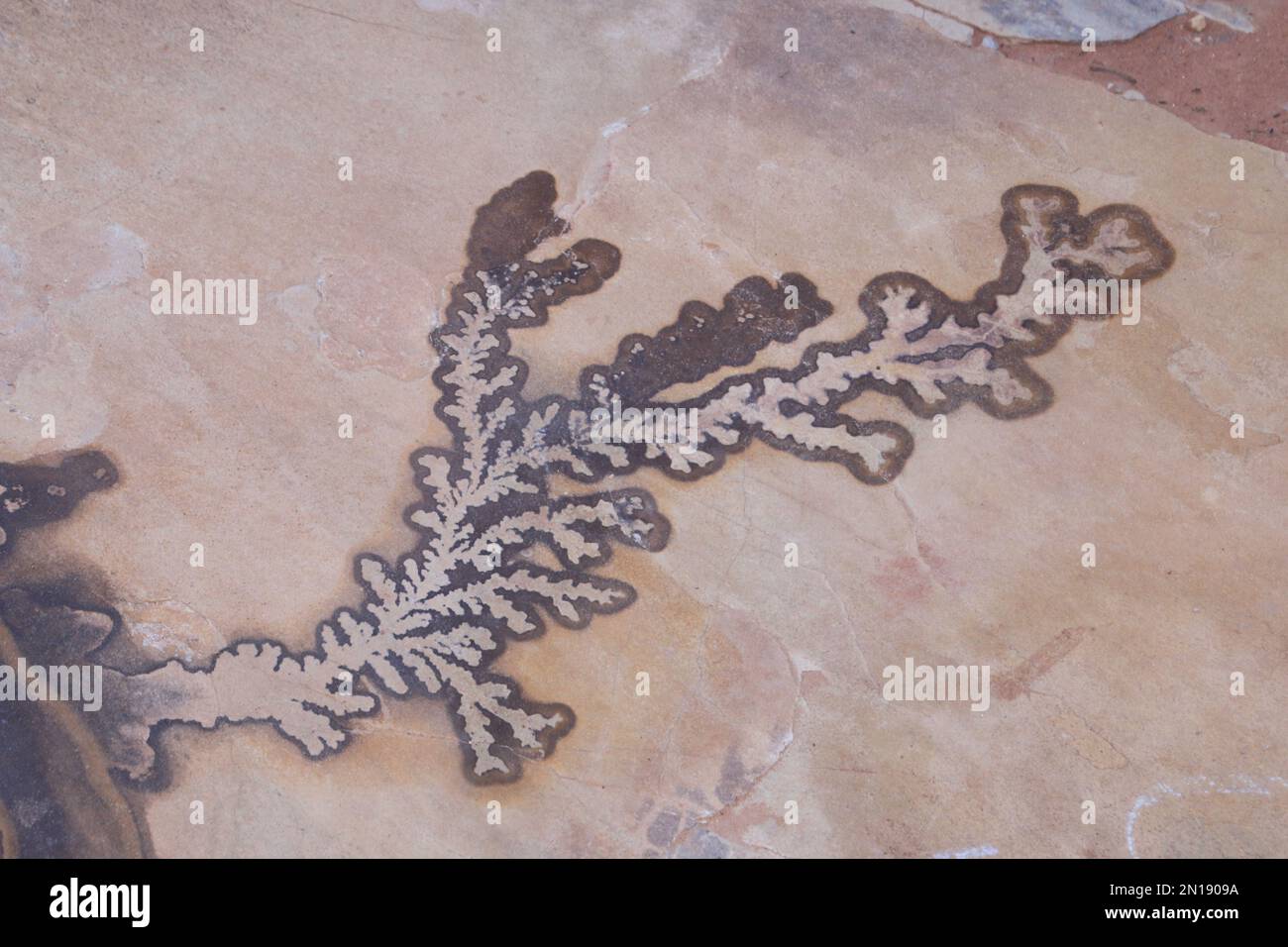Geological formation patterns hi-res stock photography and images - Alamy